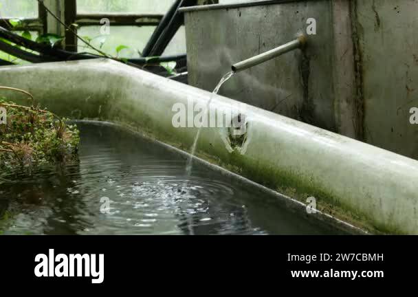 Rainwater harvesting water saving Stock Videos & Footage - HD and 4K ...