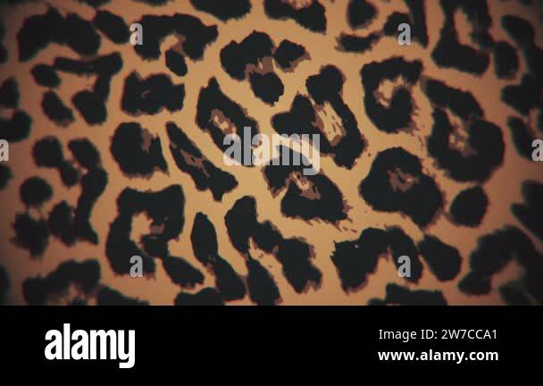 Animal simple Stock Videos & Footage - HD and 4K Video Clips - Alamy