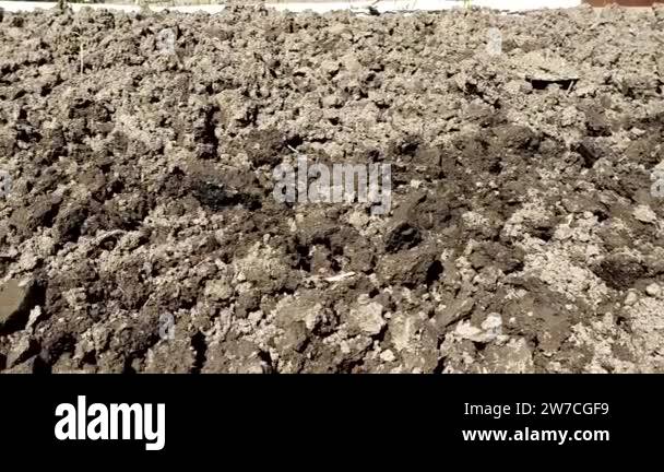 Dug fertile soil bed Stock Videos & Footage - HD and 4K Video Clips - Alamy