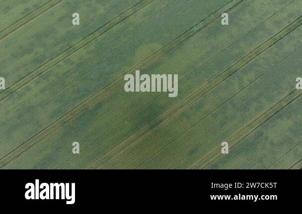 Rural landscape. Top down view of rural field meadow scene. Countryside ...