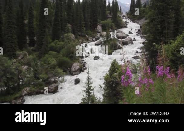 Karakol national park Stock Videos & Footage - HD and 4K Video Clips ...
