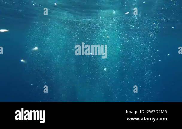 Glowing bubbles in sea Stock Videos & Footage - HD and 4K Video Clips ...