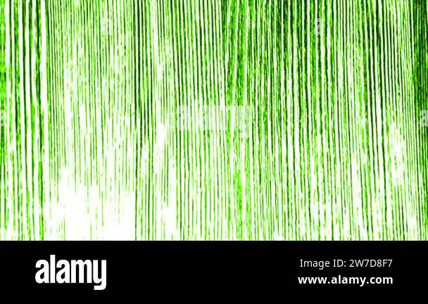 Background of moving vertical lines for backdrop. Animation. Colored ...