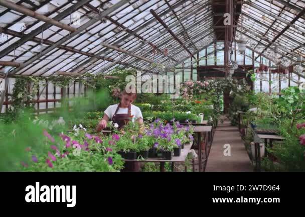 Girl in apron work greenhouse Stock Videos & Footage - HD and 4K Video Clips - Alamy