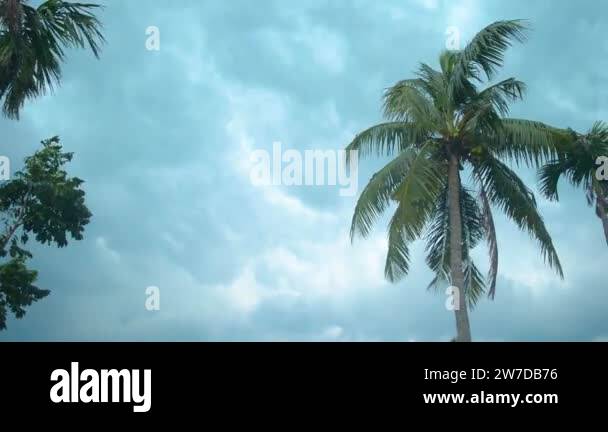 Thick dark black heavy storm clouds cover summer sunset sky horizon ...