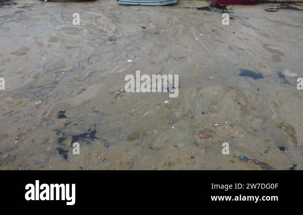 A thick, brown, bubbly foam dubbed sea snot or "sea saliva" has covered ...