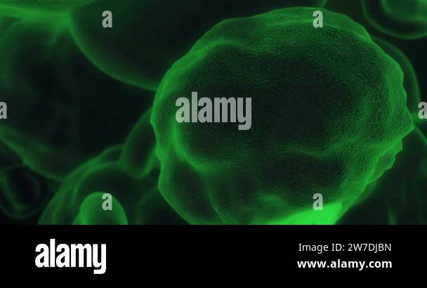 Human cell microscopic nucleus Stock Videos & Footage - HD and 4K Video ...