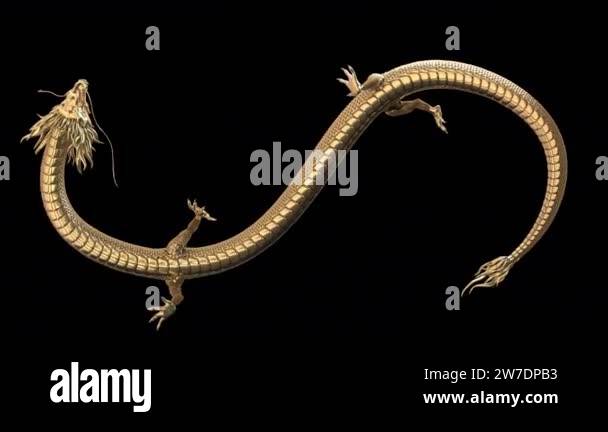 Chinese dragon animation loop on infinity sign include alpha path with ...