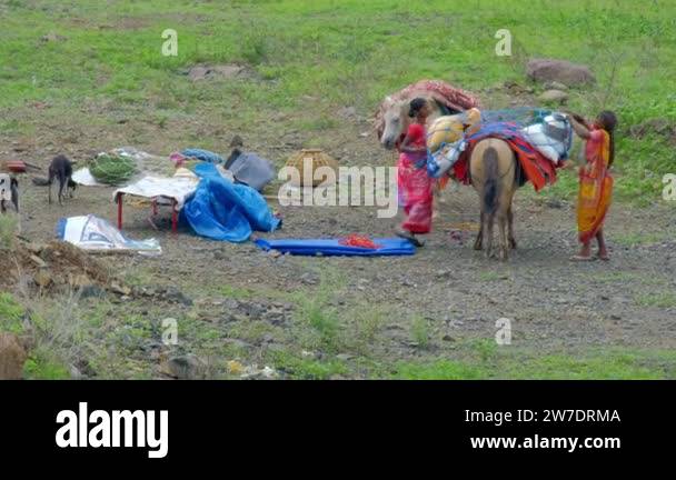 Female gypsies winding up camp in an open field at Pune India Stock ...