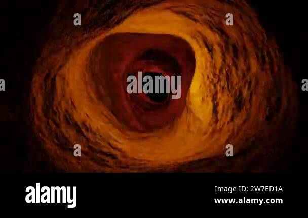 Organic tube 3D loop animation. Waves in cave. Speedy moving. Looped ...