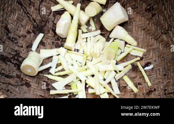 Fresh bamboo sprout Stock Videos & Footage - HD and 4K Video Clips - Alamy