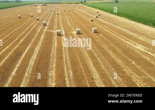 Above view, dolly move, on excavator as loading straw bales on trailer ...