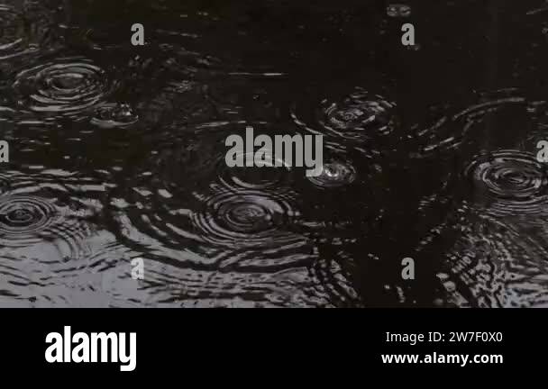 Circles and bubbles from the rain in a mud puddle, texture autumn water ...