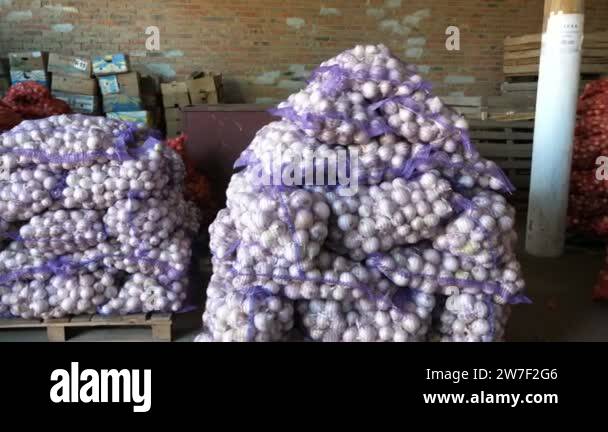 String net Stock Videos & Footage - HD and 4K Video Clips - Alamy