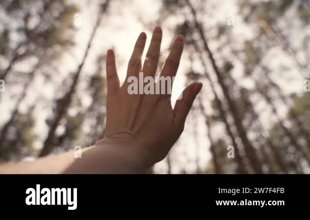 A mans hand in the rays of the sun reaches for the sky, time to dream ...