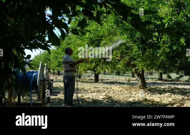 Man with trees Stock Videos & Footage - HD and 4K Video Clips - Alamy
