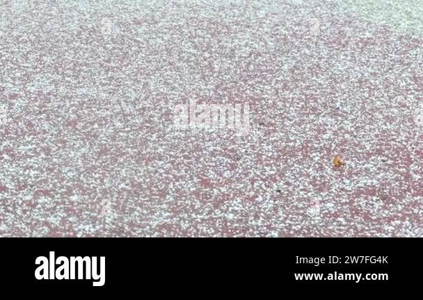 Severe hail storms Stock Videos & Footage - HD and 4K Video Clips - Alamy
