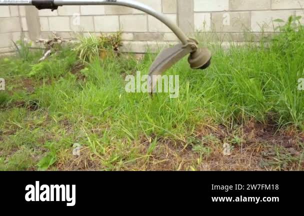 Gardener and outside and worker Stock Videos & Footage - HD and 4K ...