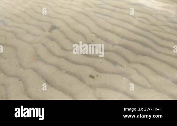 Texture of wavy sandy lake bottom under clear water. Top view natural ...