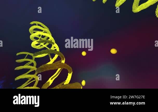 3d 360 of DNA deoxyribonucleic acid structure. The medical panoramic ...
