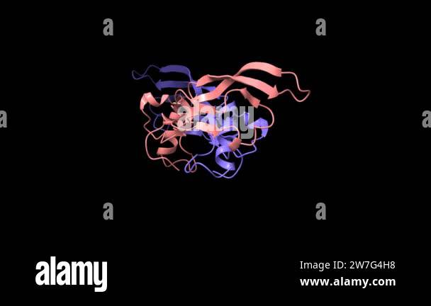 Bone morphogenetic protein Stock Videos & Footage - HD and 4K Video ...