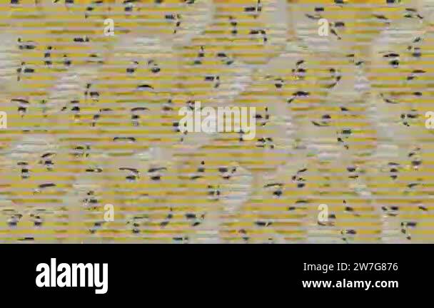 Digital animation of tv static effect over multiple angry face emojis ...