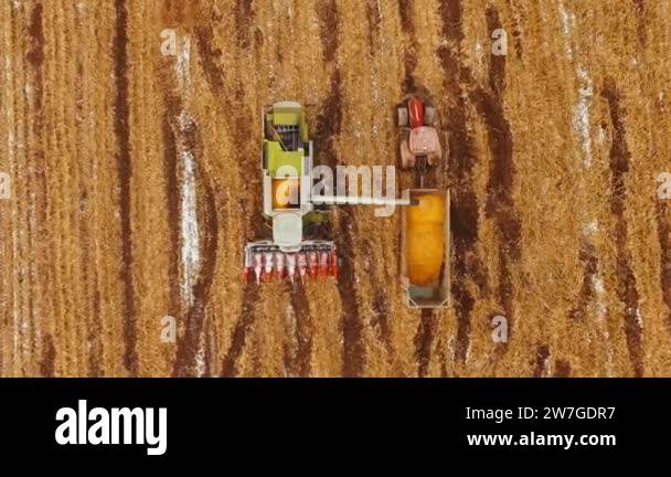 Tractor with trailer working in tandem alongside a working combine ...