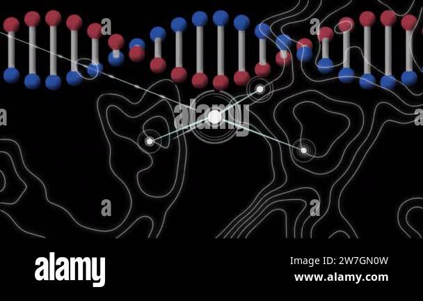Animation of dna strand spinning with topographic map lines and network ...