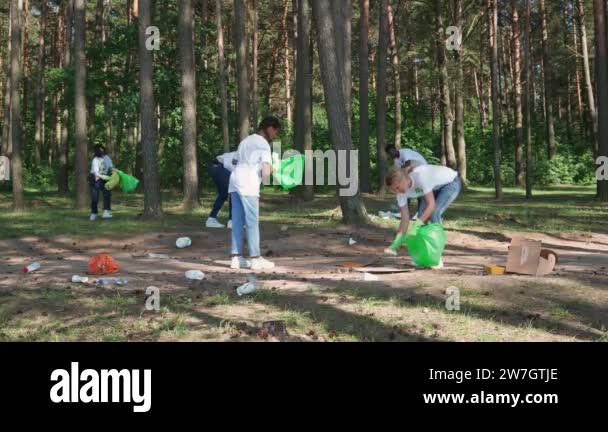 Eco-activists and volunteers clean up garbage in the forest, fight ...