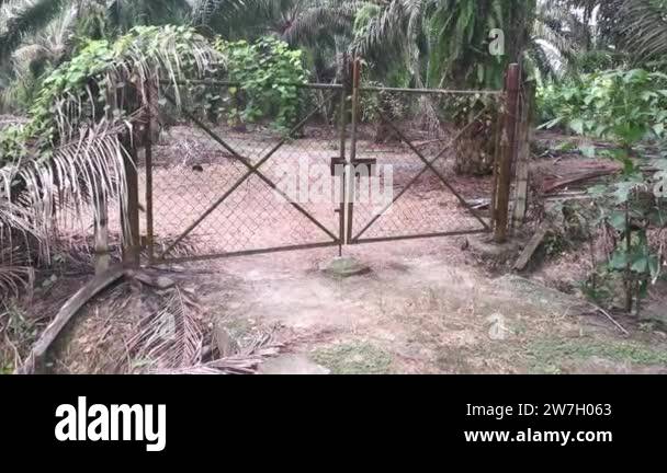 Iron plantation Stock Videos & Footage - HD and 4K Video Clips - Alamy