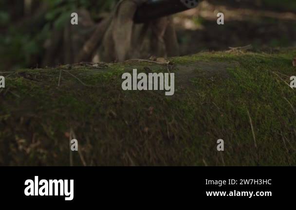 Muzzle sniper rifle Stock Videos & Footage - HD and 4K Video Clips - Alamy