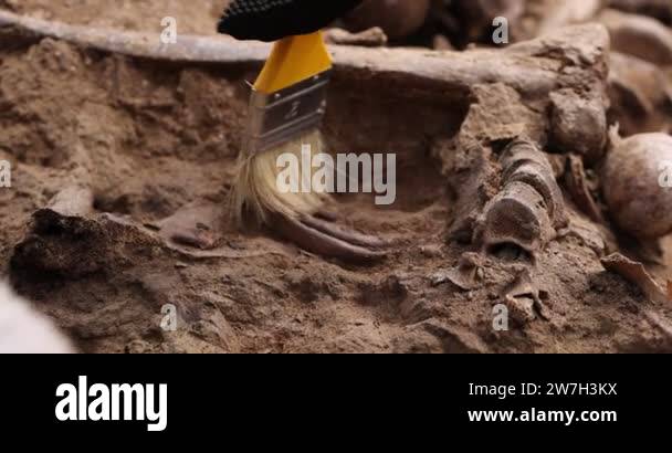 Archaeological excavations, Work of the search team at the site of a ...