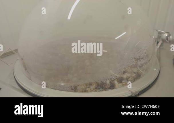 The process of isolating mucin from the snail. Extraction of mucin from ...