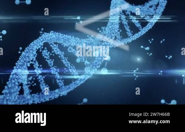 Animation of dna strand spinning, molecules and medical data processing. global science ...