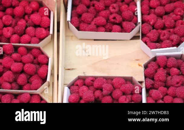 Raspberries market stall fruit Stock Videos & Footage - HD and 4K Video ...