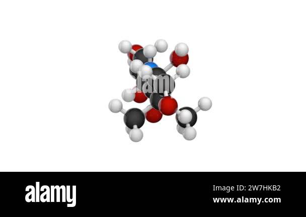 Molecular structure of Vitamin B5(Pantothenic acid). Also known as ...
