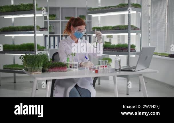 biological research in laboratory, female geneticist drips reagents ...
