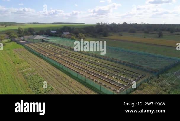 Agriculture top view. Beautiful well-groomed fields top view. Farm top ...