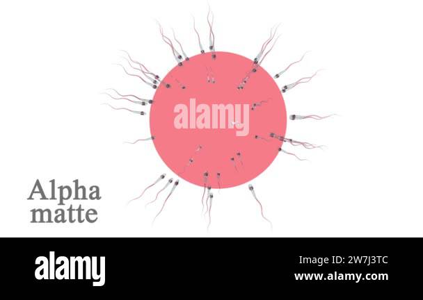 Sperm, spermatozoons around egg, cell isolated on white. Alpha matte included. Realistic 3d ...