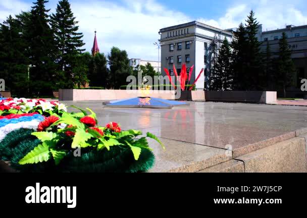 Eternal flame tomb unknown soldier Stock Videos & Footage - HD and 4K ...