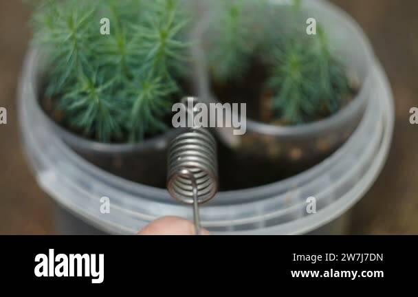 Divining twig Stock Videos & Footage - HD and 4K Video Clips - Alamy
