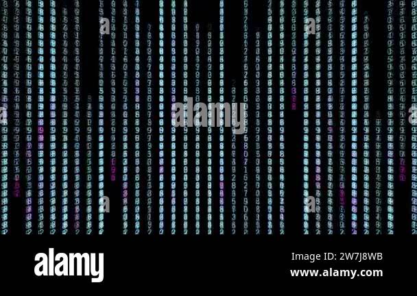 Rain of numbers in computer. Motion. Beautiful hacker background with ...