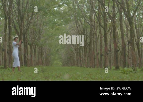 Rubber tree plantation woman Stock Videos & Footage - HD and 4K Video ...