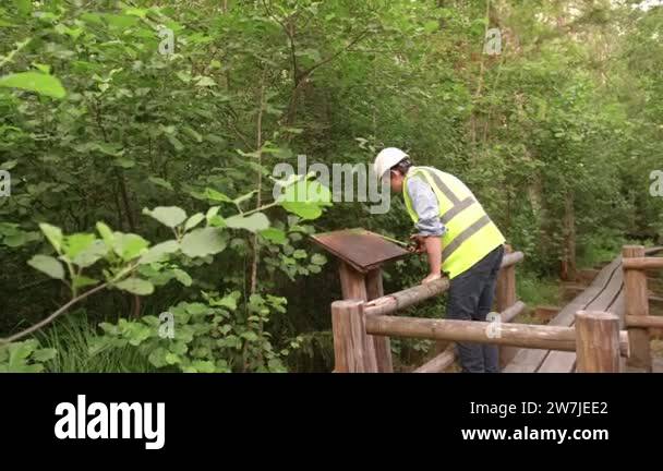 Investigate structure Stock Videos & Footage - HD and 4K Video Clips ...