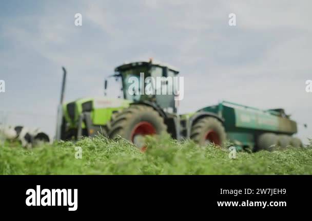 Blurred farm background Stock Videos & Footage - HD and 4K Video Clips ...