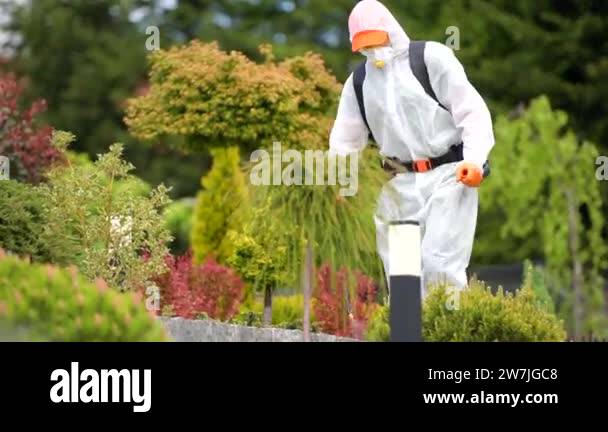 Man killing insects Stock Videos & Footage - HD and 4K Video Clips - Alamy