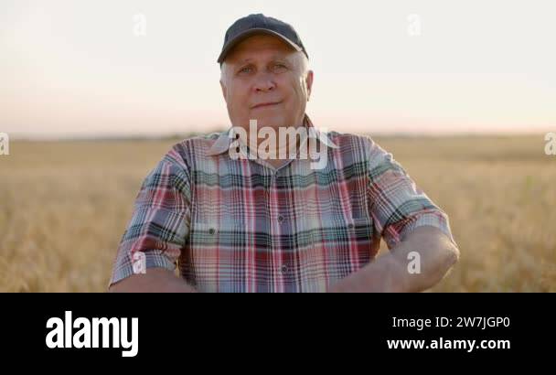Old farmer in agricultural field Stock Videos & Footage - HD and 4K ...