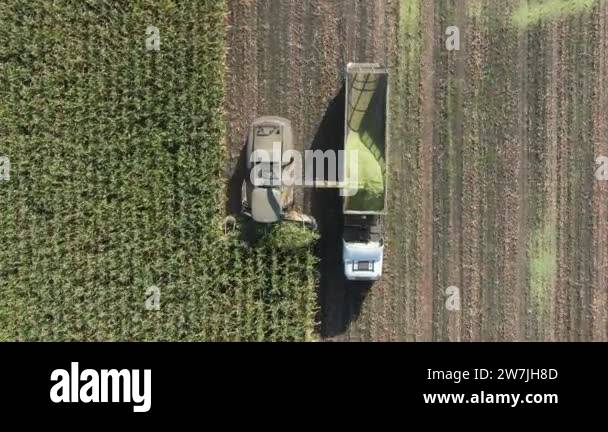 Harvesting corn cleaning corn field Stock Videos & Footage - HD and 4K ...