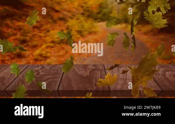 Floating pathway Stock Videos & Footage - HD and 4K Video Clips - Alamy