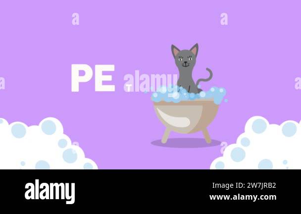 cute cat mascot taking a bath with lettering animation Stock Video ...